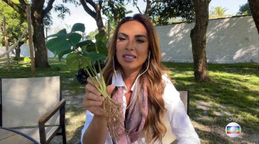 Nicole Bahls se diverte ao comentar gafe envolvendo planta de plástico ...